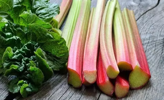 Rhubarb