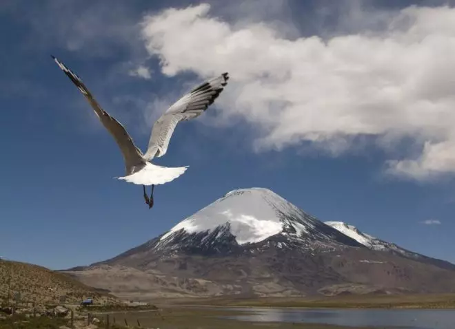 Պարինոցոտ հրաբուխ