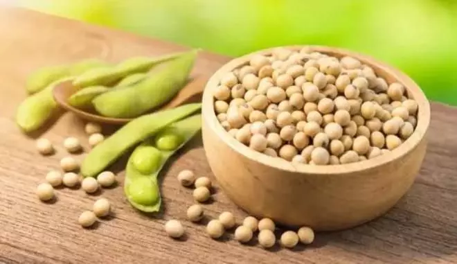 soya beans