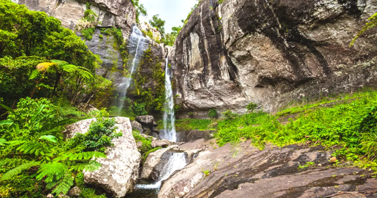 Կորիանո: