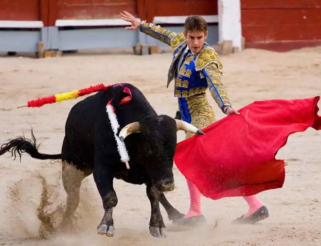 Mythe rood veroorzaakt agressie van stieren