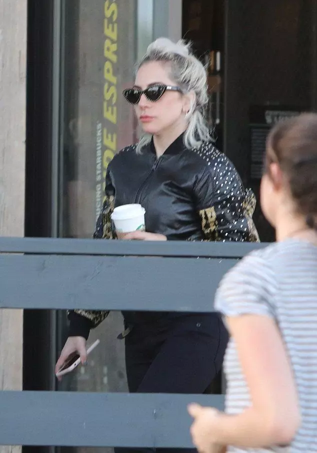 Zanger Lady Gaga