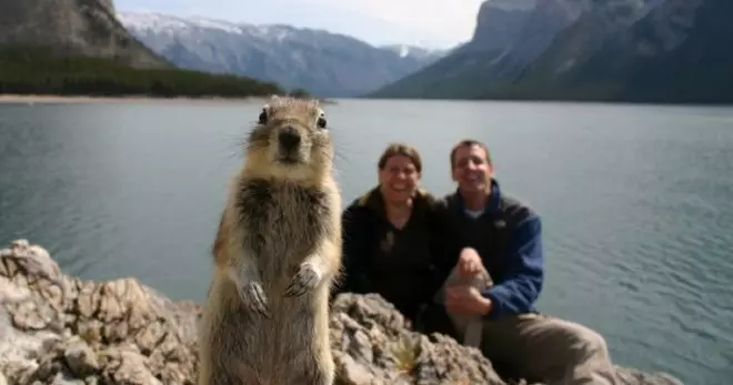 15 vegades quan els animals volien fer autofoto, però la gent els fan malbé tot