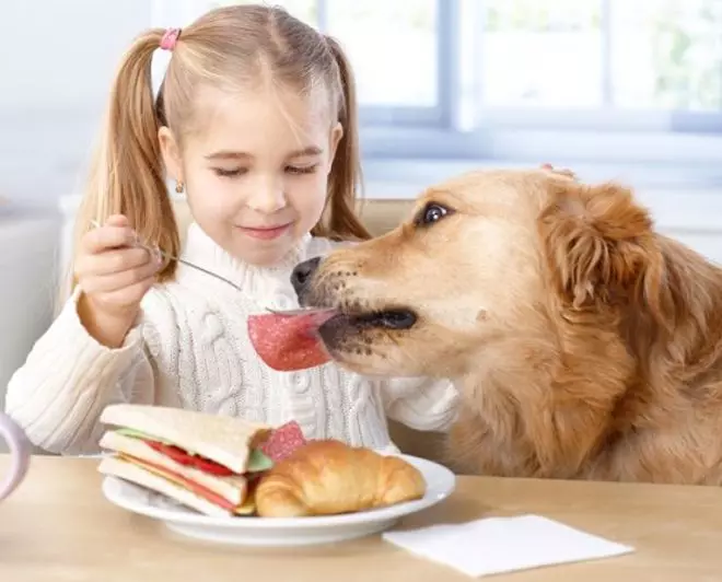 Le chien sait de générosité