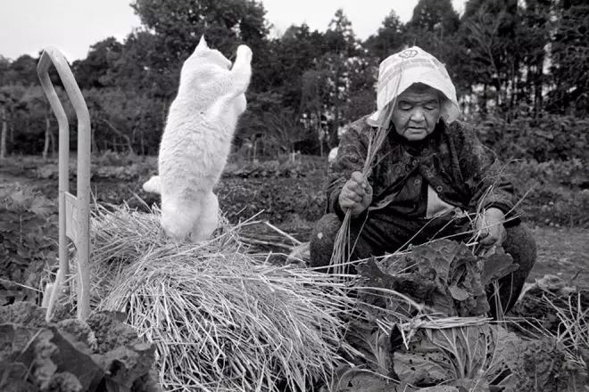 Gatto e la nonna sul campo