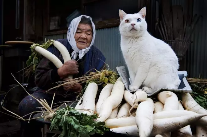 Katze und Großmutter in der Nähe des Bergs Ernte