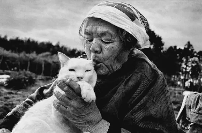 Mormor Kisses Cat