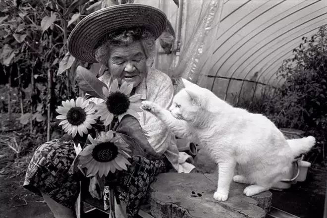 Nonna con il gatto godere girasoli