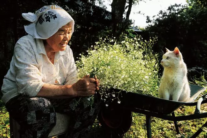 Mormor med katt sniff blommor