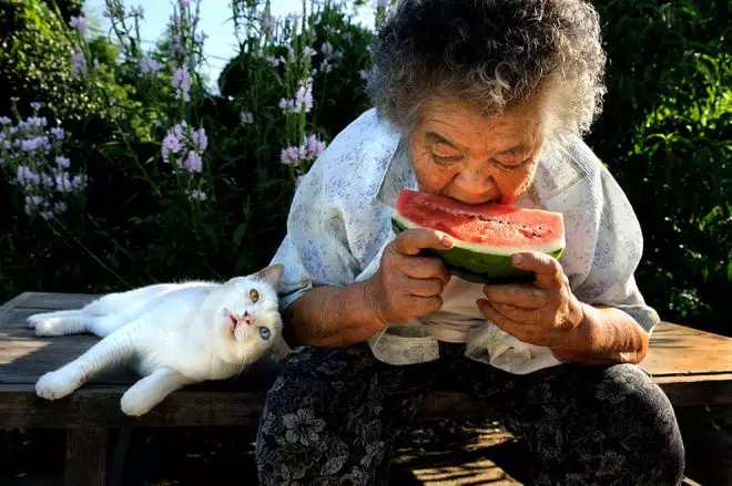 Katten ligger och ser ut som en mormor där är vattenmelon