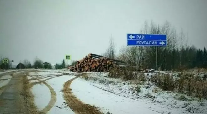 სადაც გინდა