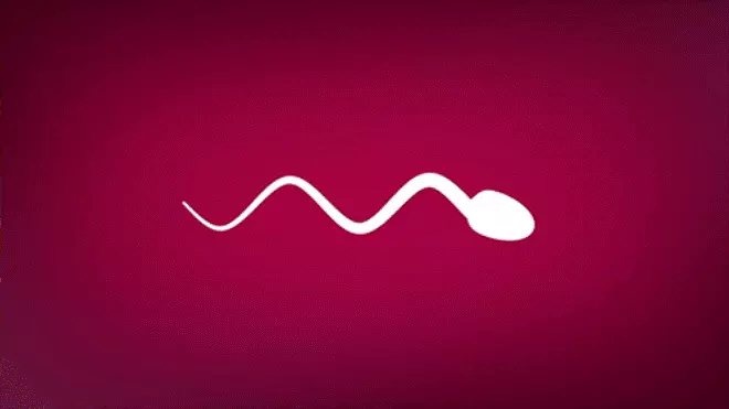 Sperm en bloed