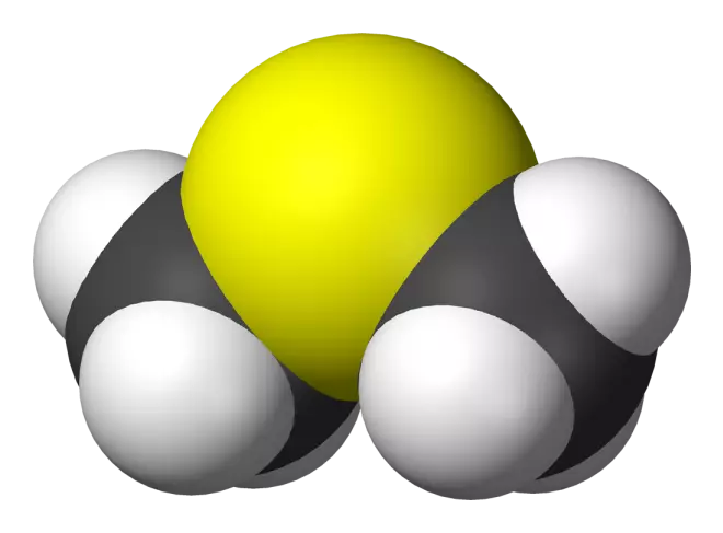 sulfide dimethyl