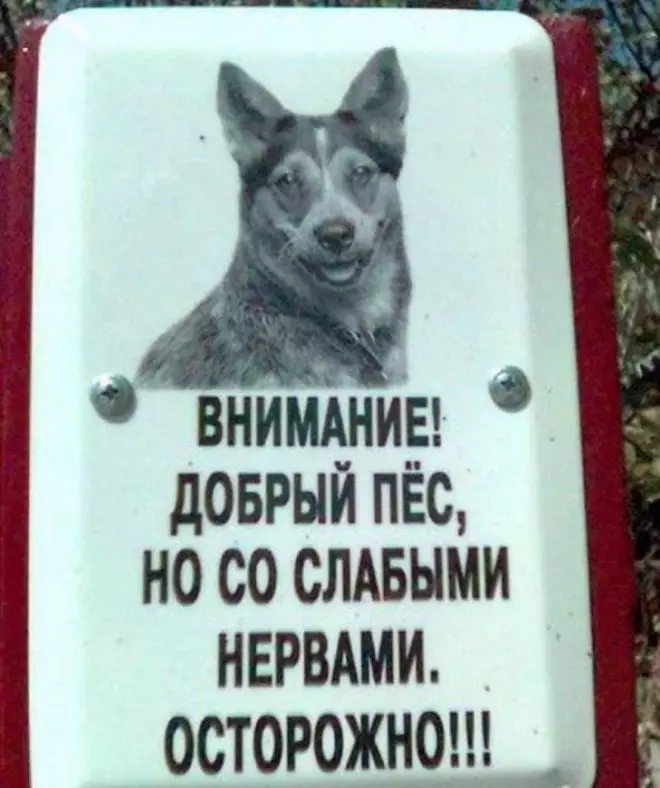 Зәгыйфь нервлар