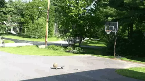 Syklisten kommer inn i en basketballkurv fra en skate