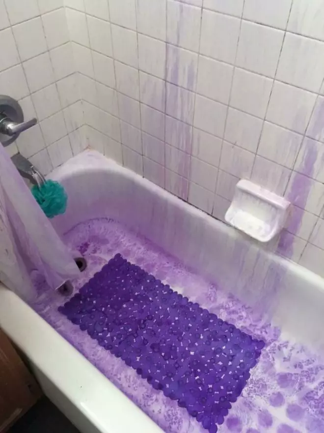所有紫色