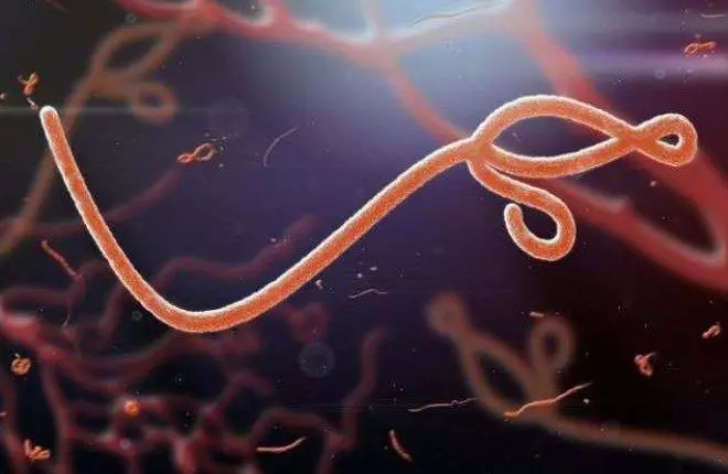 Ebola.