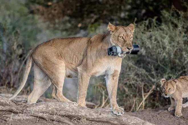 11. Begitulah cara menjelaskan fotografer ini