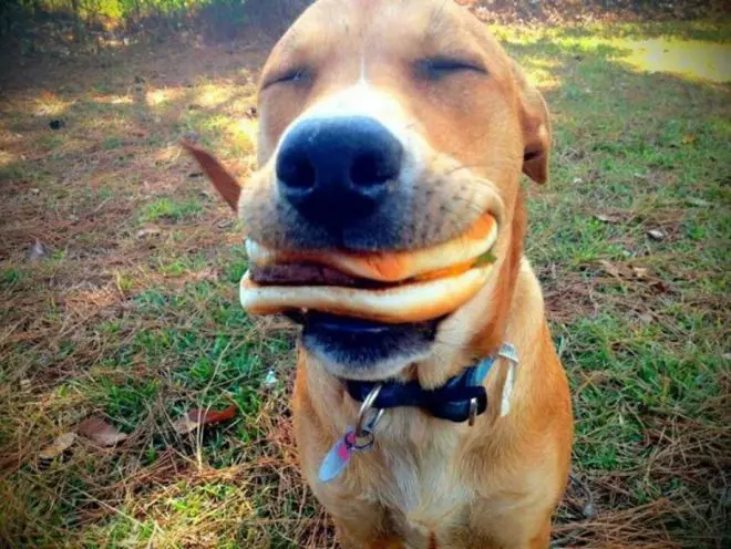 Hamburger.