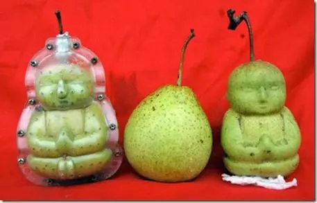 Pear-buddha