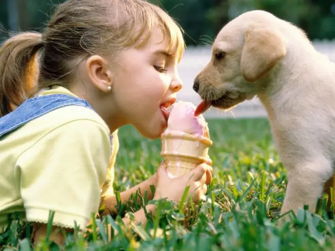 女の子と子犬