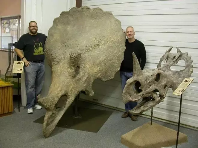 Truceratops e crani del centrosauro