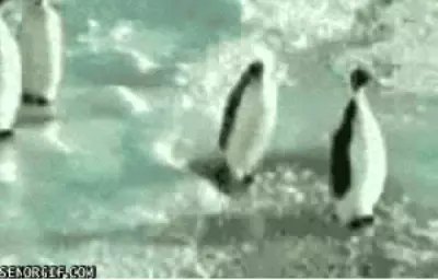 Penguins