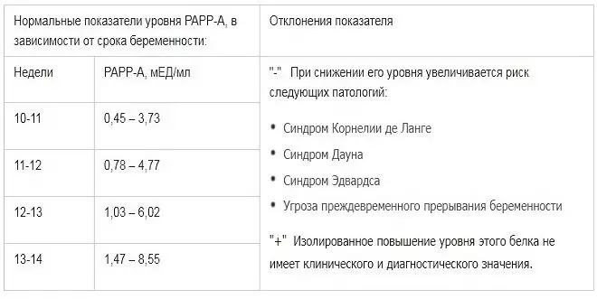 Skrīnings 1 trimestris (pirmais skrīnings grūtniecības laikā) - kas tas ir? 23532_5