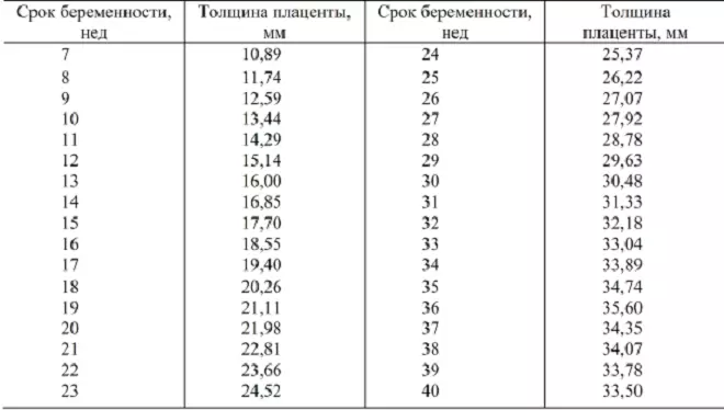 Ce este o placentă, detașarea placentei la începutul sarcinii, predicția regională a placentei? 23674_4