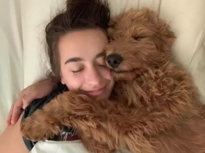 Dormir con un perro