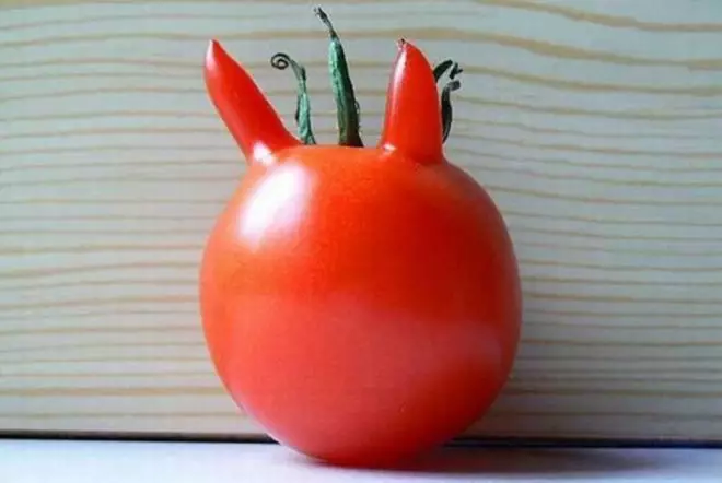 Maldita Tomato atractivo.