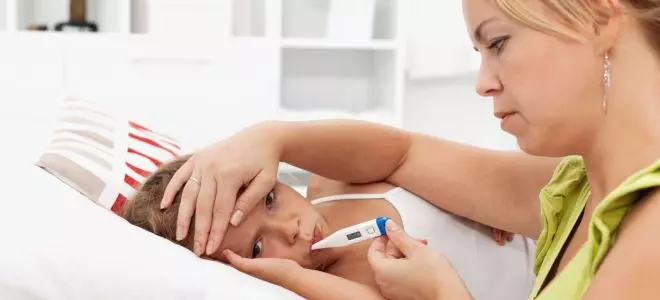 Балдардагы Mononucleosis - белгилер жана дарылоо. Эспштейн-Барра вирусу - Мононуклеосистин балдарга кандайча жугузуп жатат? 25305_2