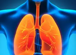 Prueba de tuberculosis de Quantiferon