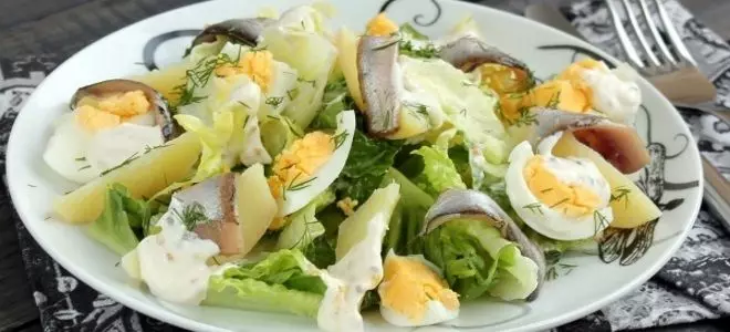 Salad Laus - resep ti campuran, kode, Gusbathi, Saale, salmon, mackerel, perch sareng kaets 25857_15