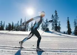 як вибрати бігові лижі