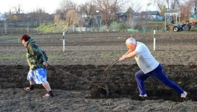 Vše v zahradě