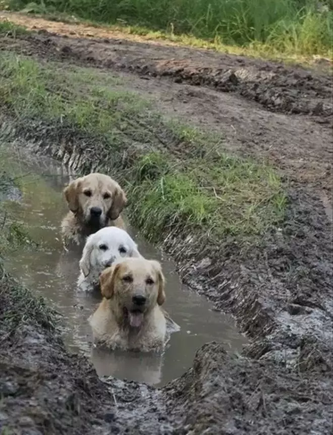 माती सह कोनावा