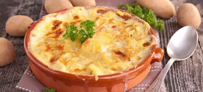 Dinnervanê Fast - Pêşkêşiyên goştê mirîşkê û mûçik, sebzeyan, potatîk û macaroni 27067_9