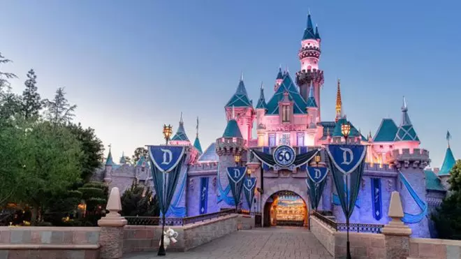 E non ha dimenticato di visitare Disneyland