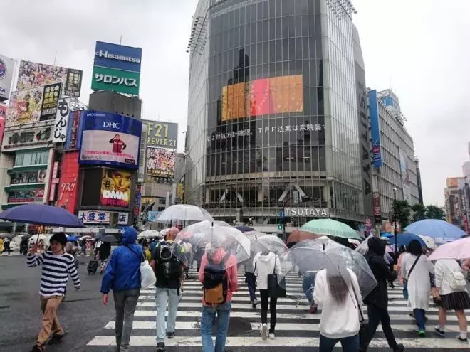 Mae gan Tokyo wasanaeth anhygoel - gallwch gymryd ymbarél tryloyw am ddim