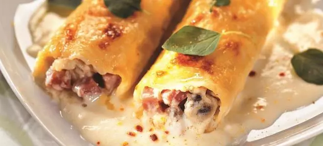 Cannelloni Beshamelikastikkeessa