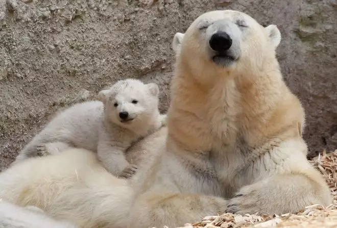 Mamá feliz