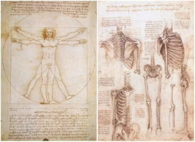 Manuscrise pe anatomie