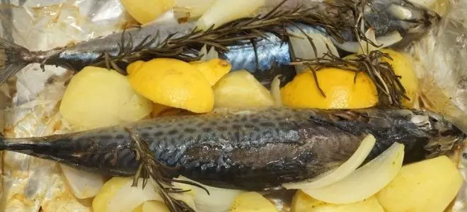 Kartof ilə sobada mackerel