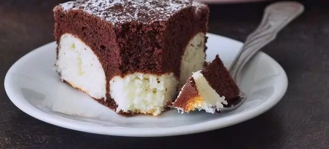 Gâteau au chocolat avec boules de fromage cottage