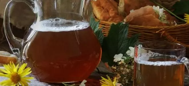 KVASS van berkensap met brood