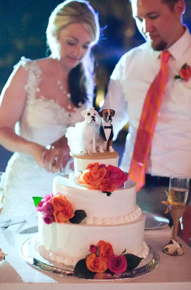 Pāris samazina kāzu kūku