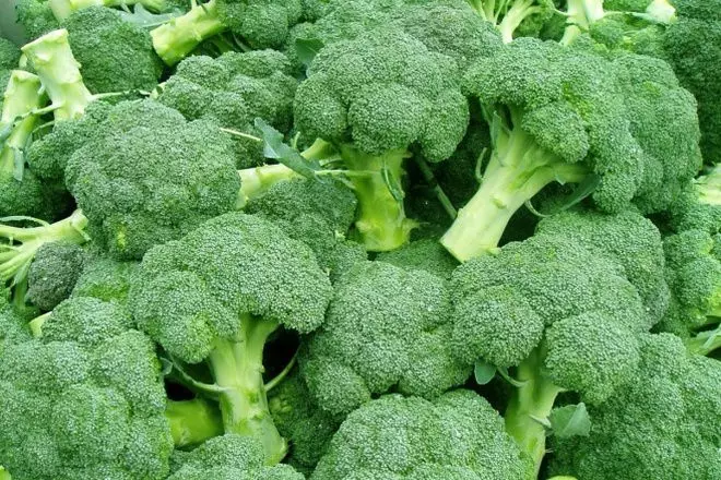 Brokoli - rritje dhe kujdes në kopsht 31203_11