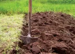 Shovel Garden Bayonge.