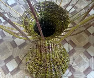 Wicker fanaka avy amin'ny vine16